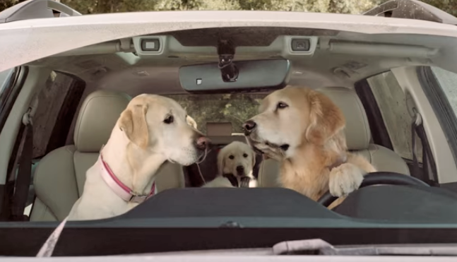 Subaru dog commercial Barkleys getting a car wash